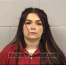 Recent Booking / Mugshot for JAEDYN RENEE RANGEL in Dickinson County ...
