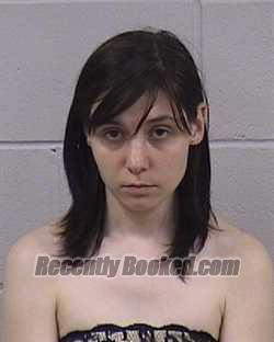Recent Booking / Mugshot for LYDIA LAUREN FANFARILLO in Dickinson ...