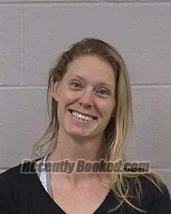 Recent Booking / Mugshot for MICHELLE LEIGH DIEHL in Dickinson County ...