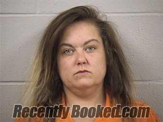 Recent Booking / Mugshot for MIRANDA MARIE DOUGLAS in Dickinson County ...