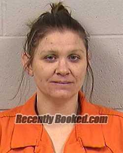 Recent Booking / Mugshot for MOLLY ELIZABETH MEEKS in Dickinson County ...