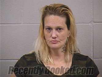 Recent Booking / Mugshot for MIRANDA ELIZABETH PARMAN in Dickinson ...