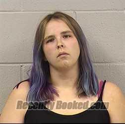 Recent Booking / Mugshot for SARAH ELIZABETH WOODWARD in Dickinson ...