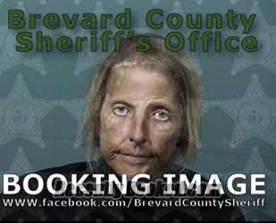 Recent Booking / Mugshot for DEBORAH S BUONO in Brevard County, Florida