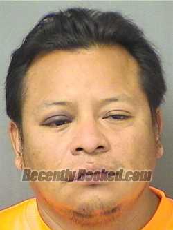 Recent Booking / Mugshot for MIGUEL ALONZO in Palm Beach County, Florida