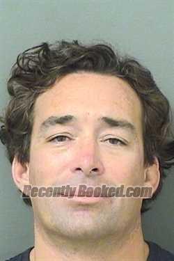 Recent Booking / Mugshot for ALEXANDER NICHOLAS FANJUL in Palm Beach ...