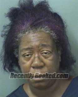 Recent Booking / Mugshot for TULYNDA MICHELLE ALLEN in Palm Beach ...
