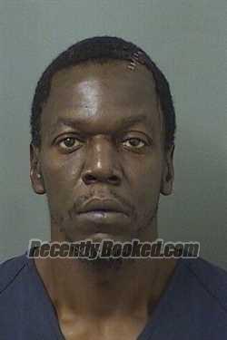 Recent Booking / Mugshot for TERRANCE DWAYNE NELSON in Palm Beach ...