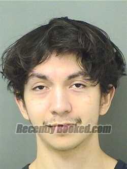 Recent Booking / Mugshot for DANIEL FERRIERA in Palm Beach County, Florida