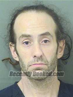Recent Booking / Mugshot for GERALD ANTHONYPETER RIZZOLO in Palm Beach ...