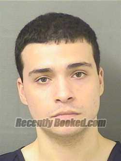 Recent Booking / Mugshot for MICHAEL DAVID GORELIK in Palm Beach County ...