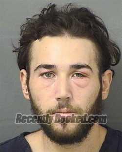 Recent Booking / Mugshot for GEORGE E STAVROPOULOS in Palm Beach County ...