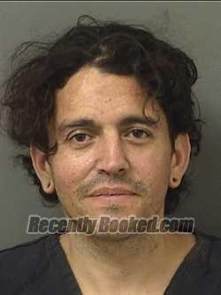 Recent Booking / Mugshot for SHAWN JAMES BRICK in Palm Beach County ...