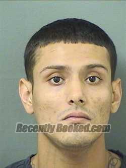 Recent Booking / Mugshot for ALEXANDER BENNETT MATTYS in Palm Beach ...