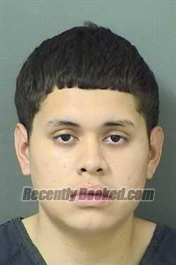 Recent Booking / Mugshot for STEVEN JOSE DAMASBACA in Palm Beach County ...
