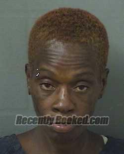 Recent Booking / Mugshot for STEPHANIE RENEE JUDD in Palm Beach County ...