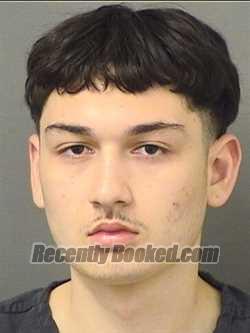 Recent Booking / Mugshot for ROBERT FERNANDEZ in Palm Beach County, Florida