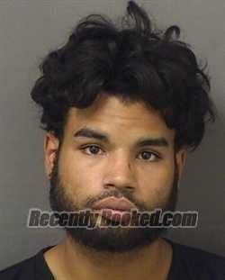 Recent Booking / Mugshot for LUIS DANIEL RIVERA in Palm Beach County, Florida