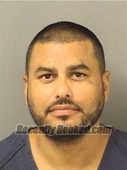 Recent Booking / Mugshot for DOMINICK JOSEPH AARON TOZZI in Palm Beach ...
