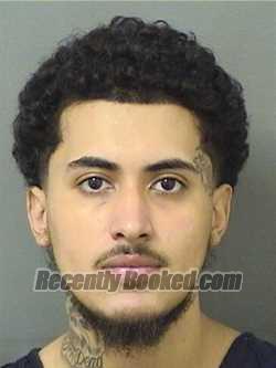Recent Booking / Mugshot for STEVE ALEXANDER GONZALESANTUNEZ in Palm ...