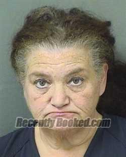 Dana Jill Zucker Mugshot & Arrest Info | Palm Beach County, FL