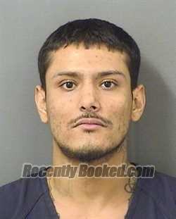 Recent Booking / Mugshot for ALEXANDER BENNETT MATTYS in Palm Beach ...