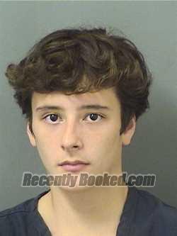 Recent Booking / Mugshot for JEFFREY ADELMAN in Palm Beach County, Florida