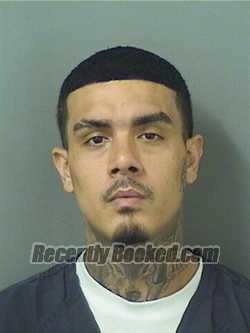 Recent Booking / Mugshot for JOSE OSCAR ALVELO in Palm Beach County ...