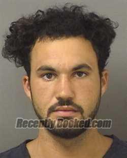 Recent Booking / Mugshot for SEBASTIAN ANTONIO FALSONE in Palm Beach ...