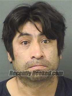 Recent Booking / Mugshot for ANGEL CRUZLOPEZ in Palm Beach County, Florida