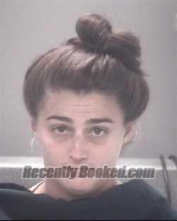 Recent Booking / Mugshot for HANNAH RAY RIZZO in Pasco County, Florida