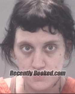 ARIEL DIANNE BRZYCKI Arrest Record & Booking Info – Pasco County ...