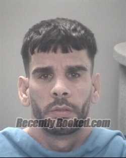 Recent Booking / Mugshot for YANDY RODRIGUEZ-MARTIN in Pasco County ...