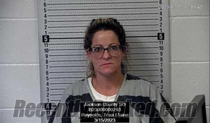 Recent Booking / Mugshot for Traci Elaine Reynolds in Jackson County ...
