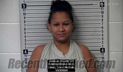 Recent Booking / Mugshot for Dana Michelle Giese in Jackson County, Kansas