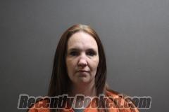 Recent Booking / Mugshot for AMBER RENEE ALLENDER in Labette County, Kansas