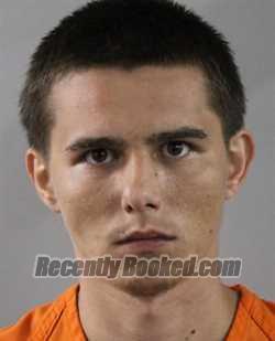 Recent Booking / Mugshot for GABRIEL WILLIAMS in Polk County, Florida