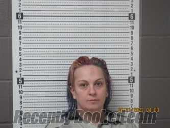 Jamie Renee Gheza Arrest Record & Booking Info – Montgomery County ...