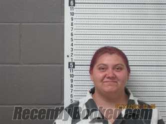 Recent Booking / Mugshot for Morgan Michelle Pierce in Montgomery ...