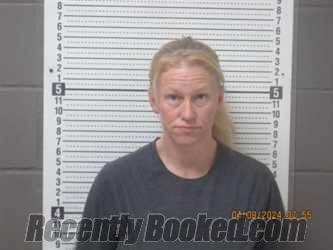 Recent Booking / Mugshot for Ashley Rae Riley in Montgomery County, Kansas