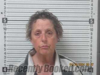 Recent Booking / Mugshot for Chere Lynn Parker in Montgomery County, Kansas