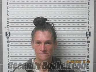 Recent Booking / Mugshot for Lisa Michelle Stotts in Montgomery County ...