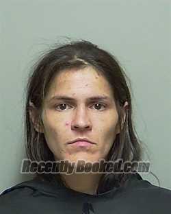 Recent Booking / Mugshot for DESAREE ELAINE ROBINSON in Putnam County ...