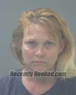 Recent Booking / Mugshot for LISA ANN PLUNKETT in Santa Rosa County ...