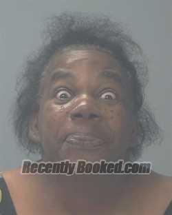Recent Booking / Mugshot for CYNTHIA MARIE BOYKINS in Santa Rosa County ...