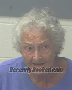 Elizabeth Diane Collins Mugshot & Arrest Info | Santa Rosa County, FL