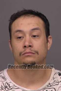 Recent Booking / Mugshot for Michael James Whitford in Saline County ...