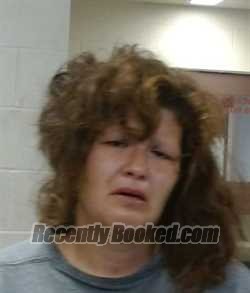 Recent Booking / Mugshot for CRYSTAL ELIZABETH FINK in Sedgwick County ...