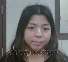 Recent Booking / Mugshot for ANGELINA ELIZABETH NILSEN in Sedgwick ...