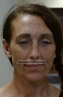 Recent Booking / Mugshot for SHEENA LEE CUNDIFF in Sedgwick County, Kansas